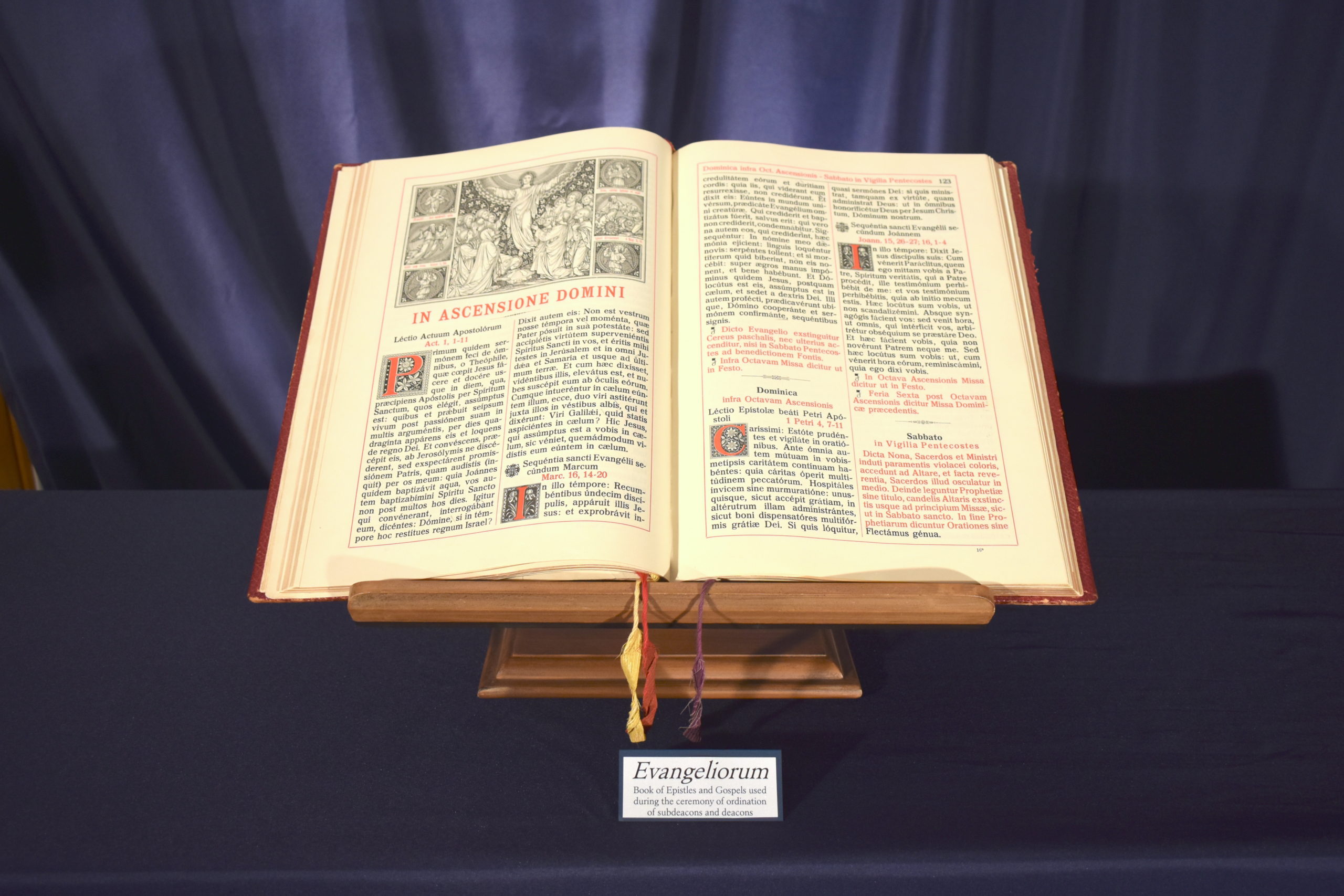Steps to the Priesthood | Congregation of St. Pius V